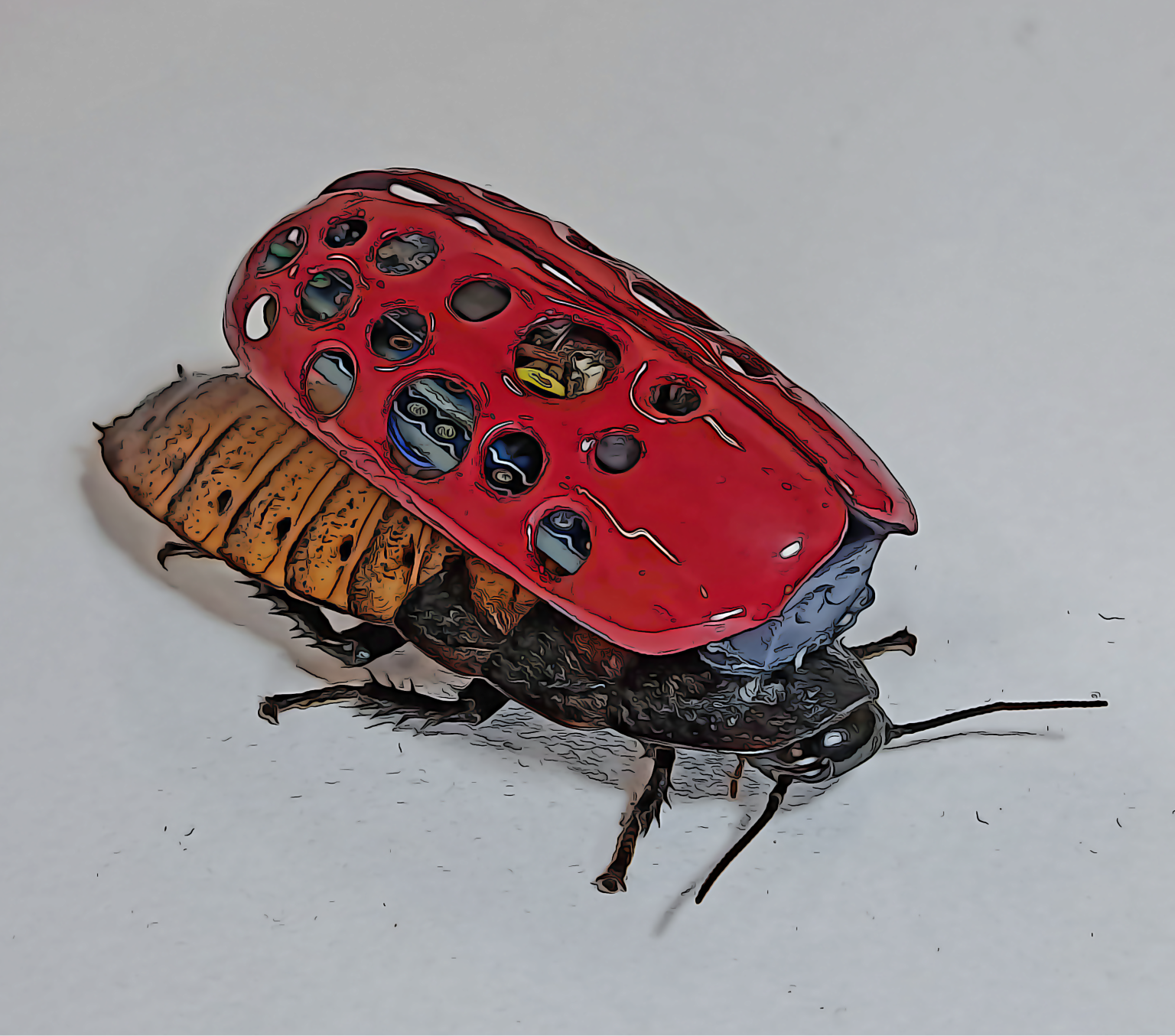 New publication: Cyborg insect repeatable self-righting locomotion ...